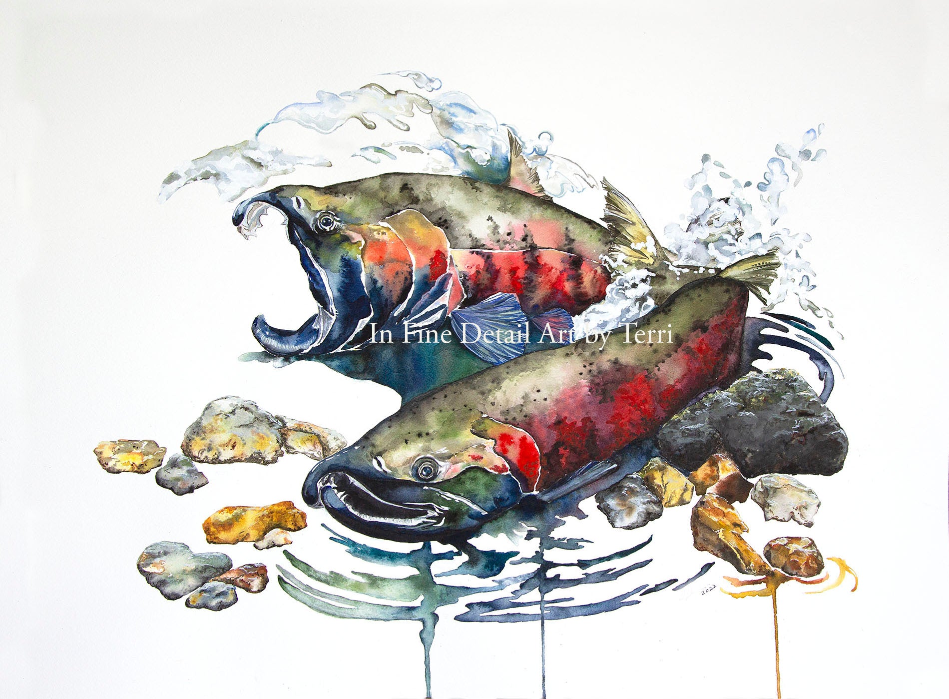 Chinook Salmon Art